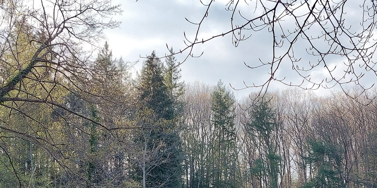 Trecastle, the Lake - Trecastle France