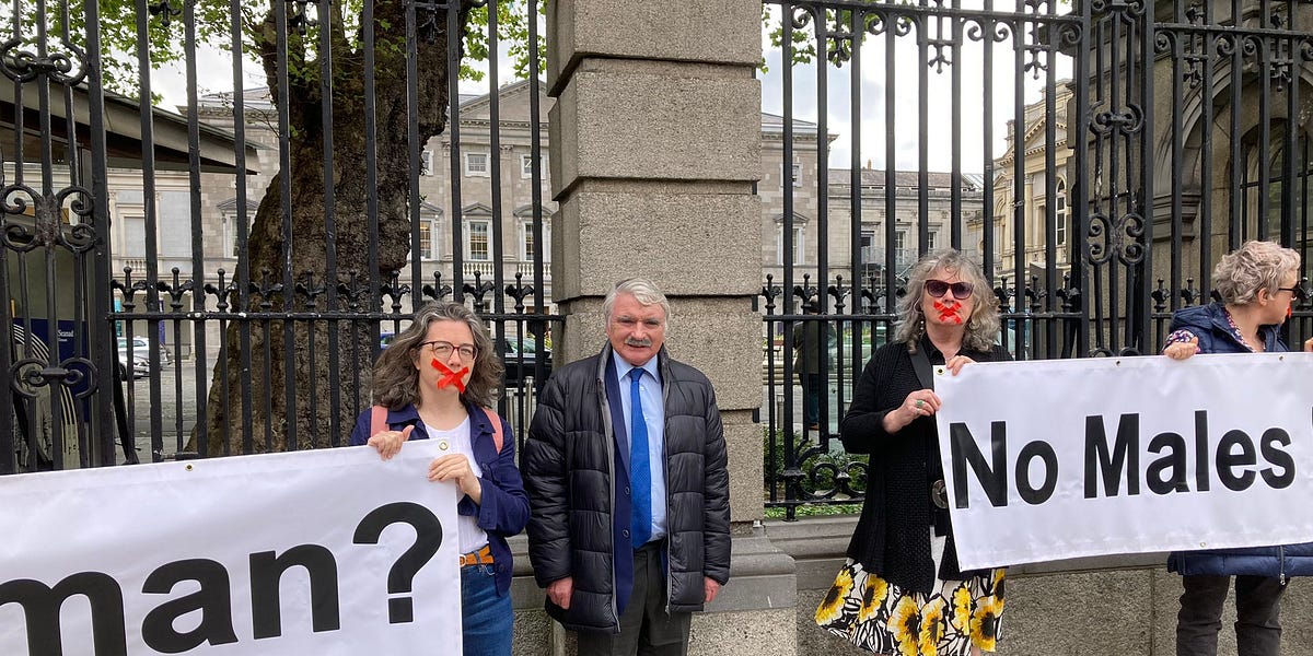 The Lifecycle of an Ally - by Conor Fitzgerald