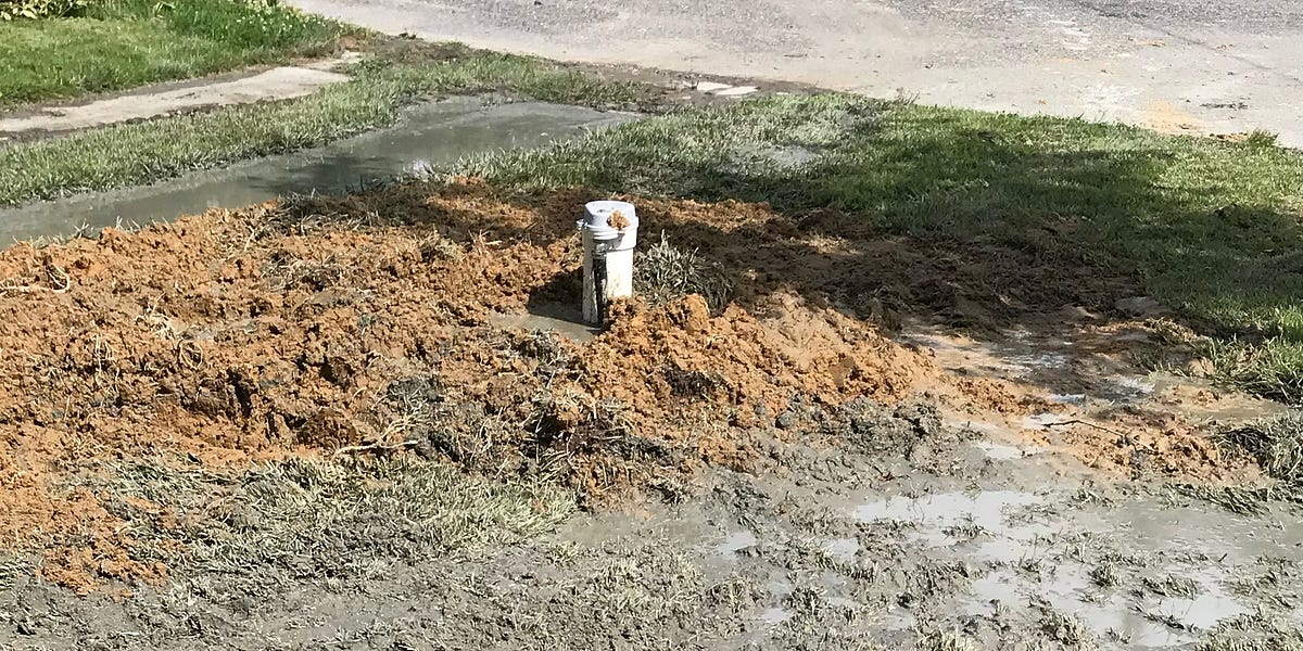 Metaphorically Speaking - by Barb Sobel