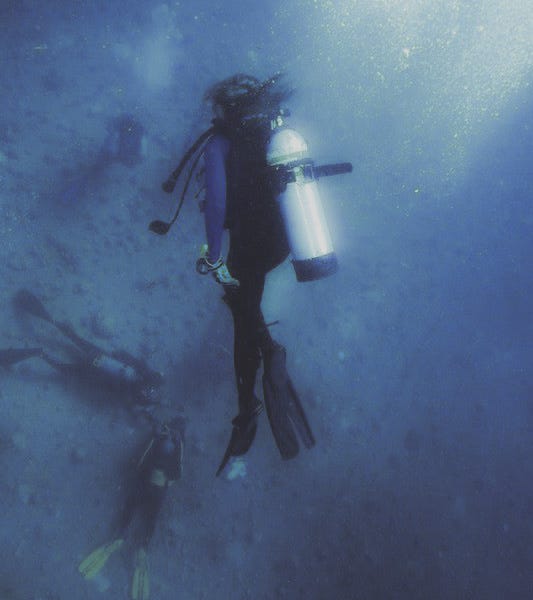 Controlled Ascent - The Gray Horse Diaries