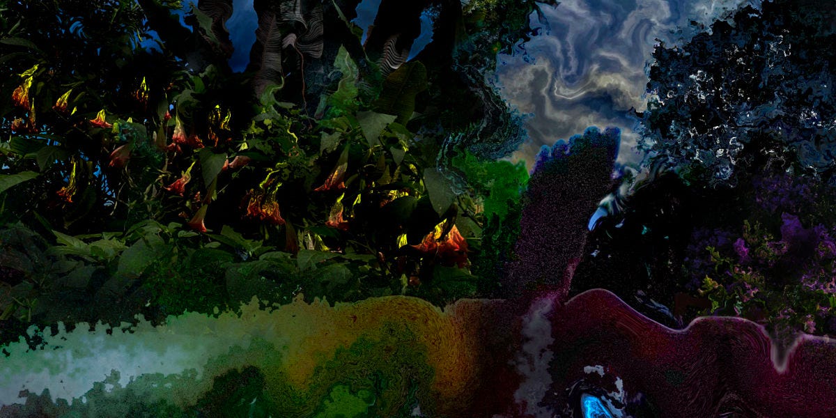 The Curse of Reasons - by Mark Heyer