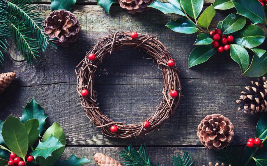 The Garden Minute ⏰: Friday 17 November 2023 - Plantaholics