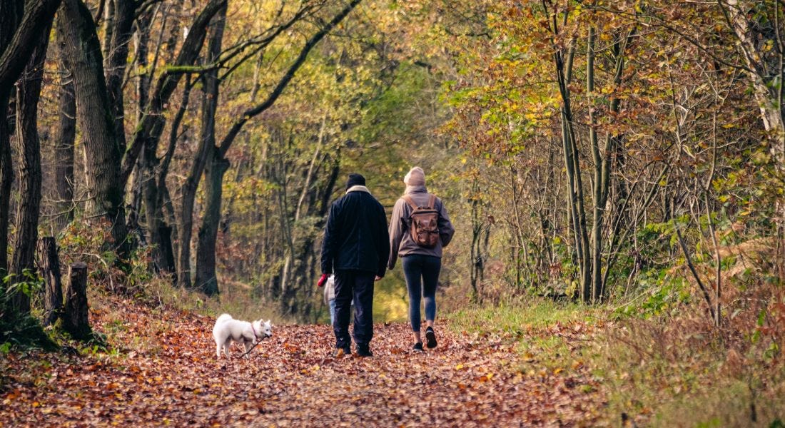 8 fun free days out around Nottingham - The Notts Edit