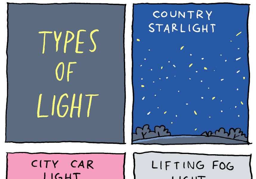 Types of Light - by Grant Snider - Incidental Comics