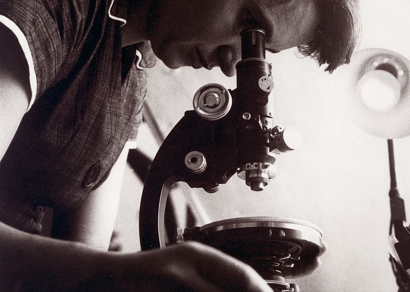 Science and everyday life cannot and should not be separated