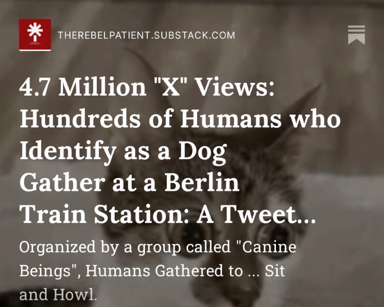 4.7 Million "X" Views: Hundreds of Humans who Identify as a Dog Gather ...