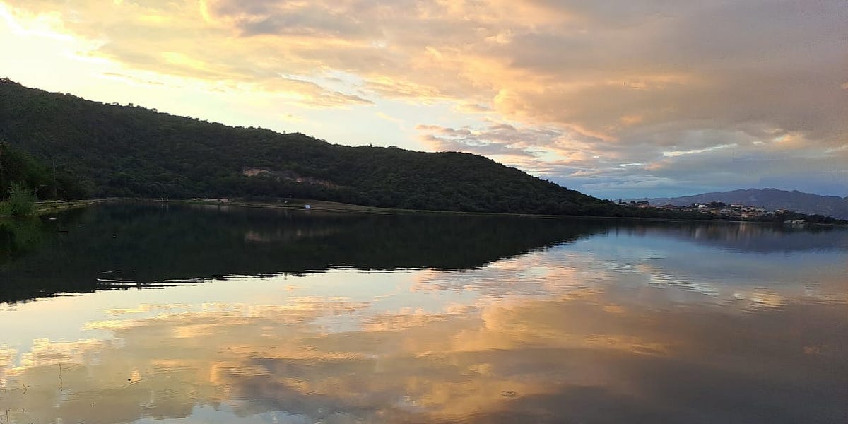 The Mona Reservoir - by Diana McCaulay