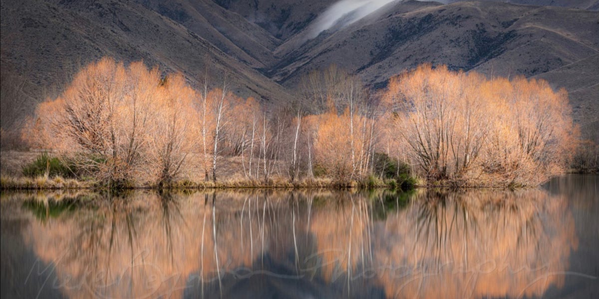 Mieke Boynton - PHOTOSNACK