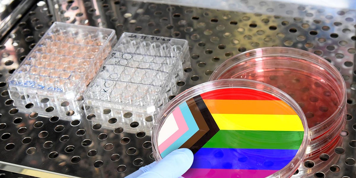 Report: DEI Is Transforming the National Science Foundation