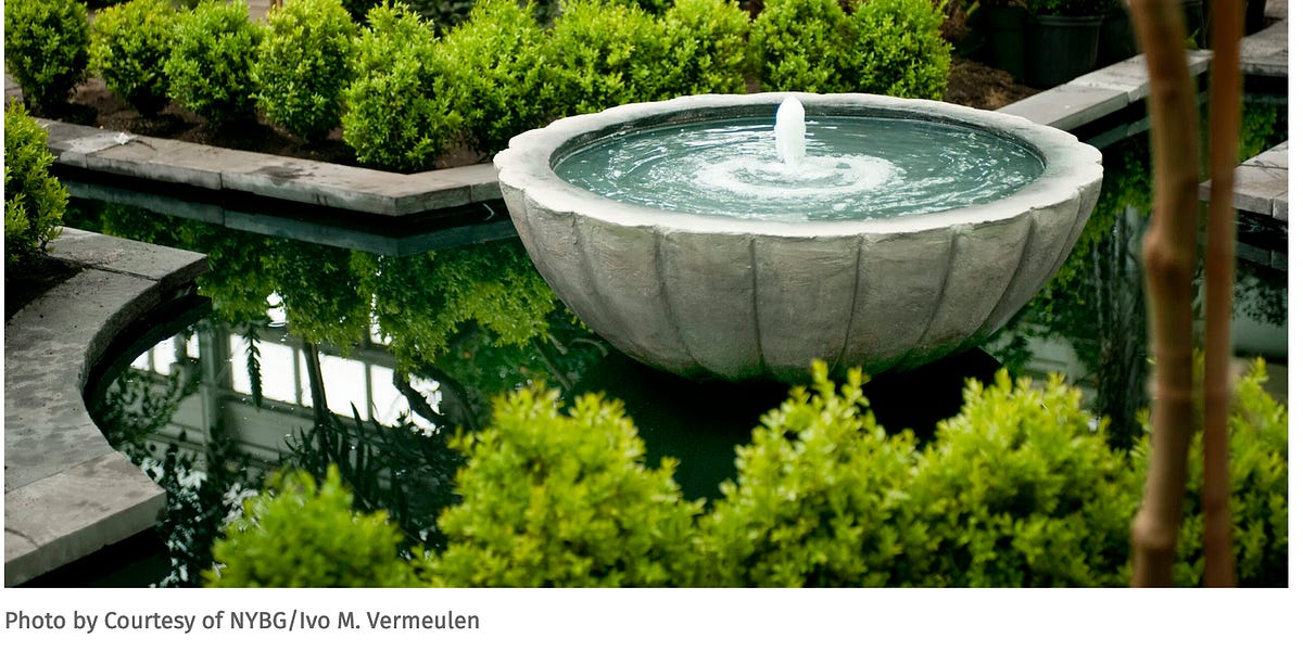 Fountains - by John Arndt - flourishing syntax