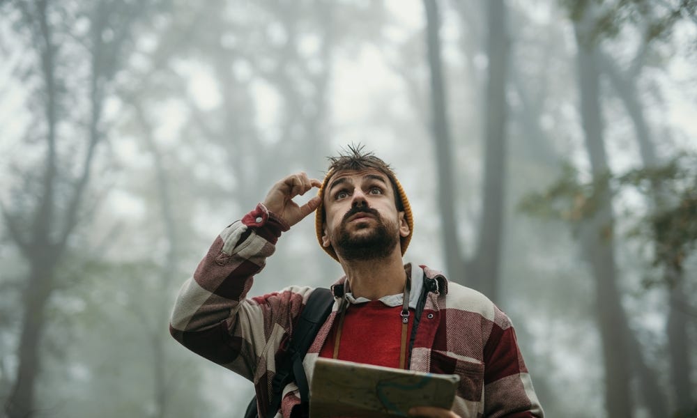 The Forest for the Trees - by David Zaruk - THE FIREBREAK