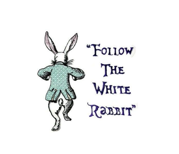 5 Reasons Why Substack is My Rabbit Hole