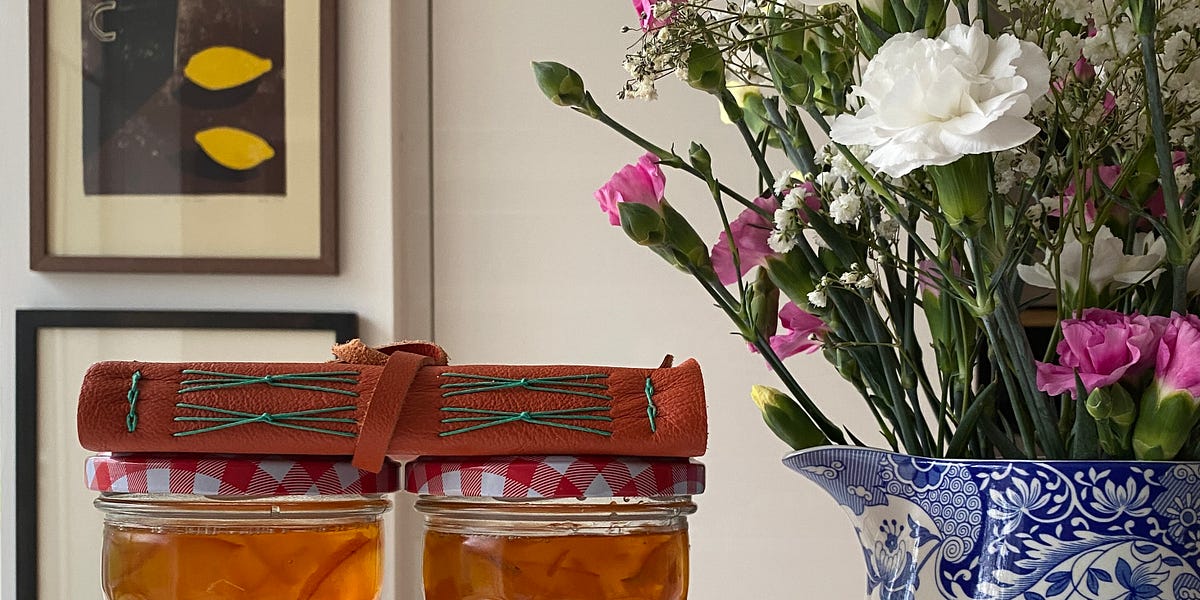 peel appeal - by Jane Brocket - yarnstorm