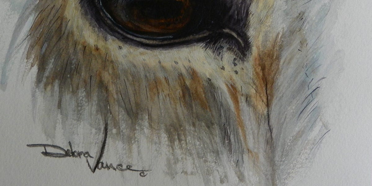 Donkeys: Part 2 - by Debra Vance Art