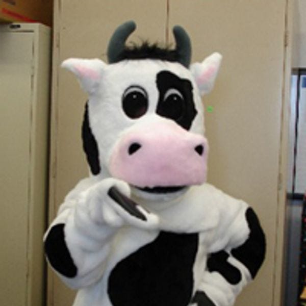 Meet The Cow Porn Judge By Sara K Smith Wonkette