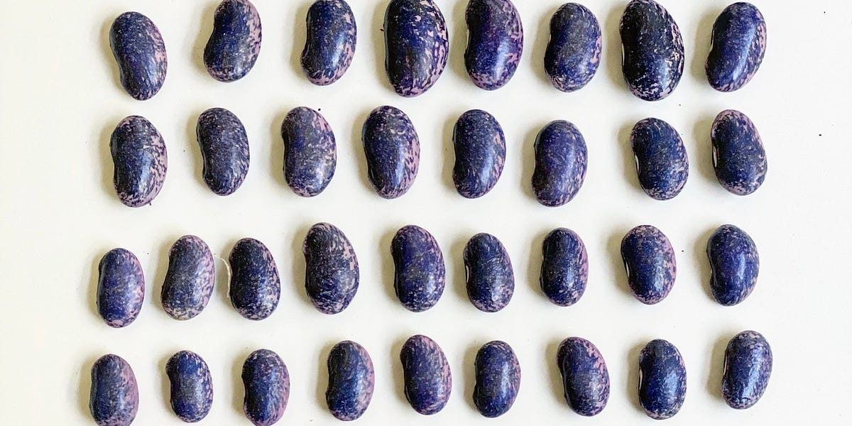 Time is your hands cooling, time is dust, time is beans, time is the ...