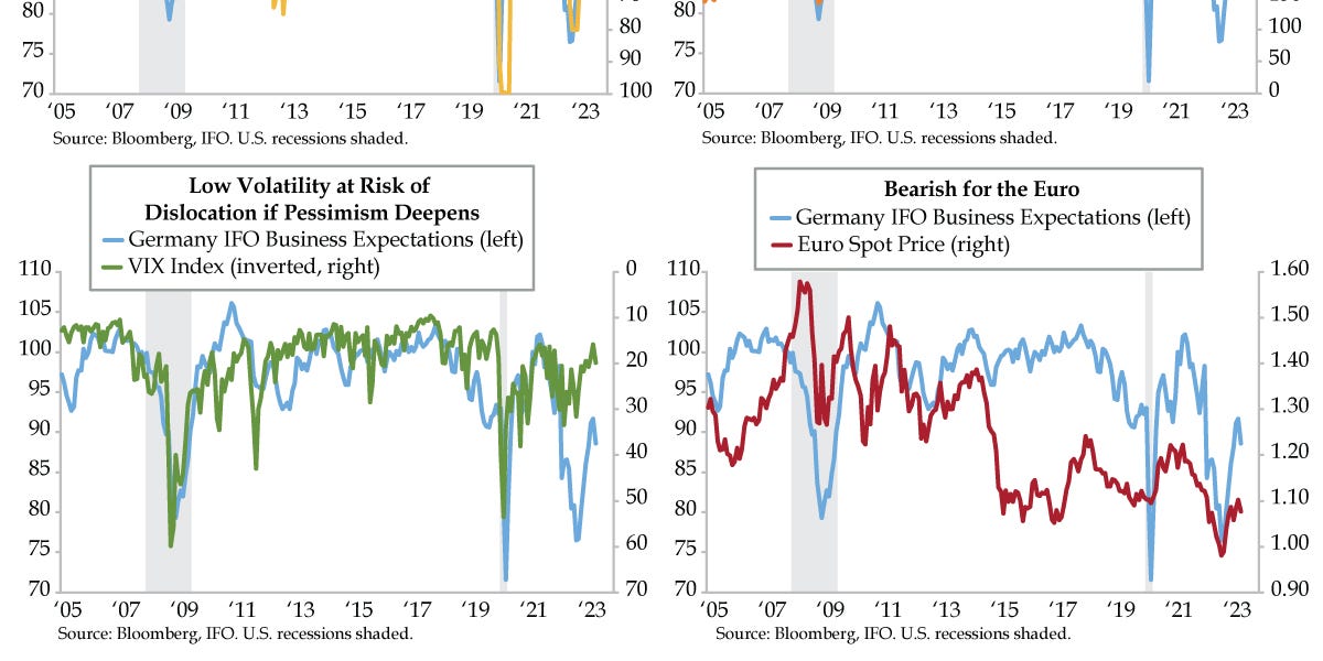 The Daily Feather — Information and Research