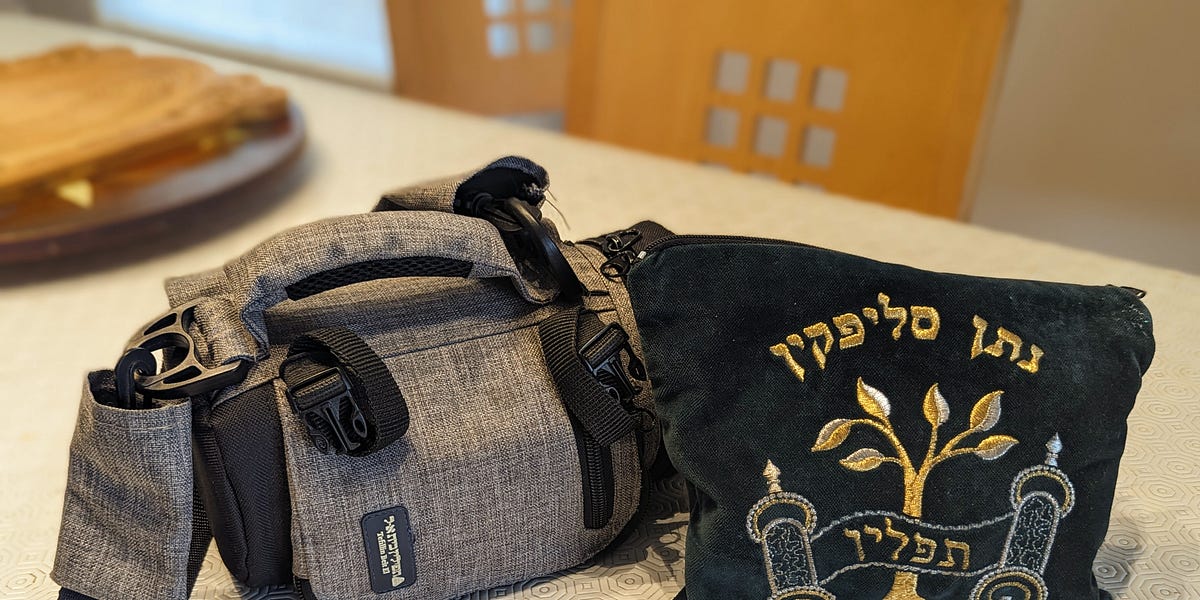 A Tale of Two Tefillin Bags - by Natan Slifkin