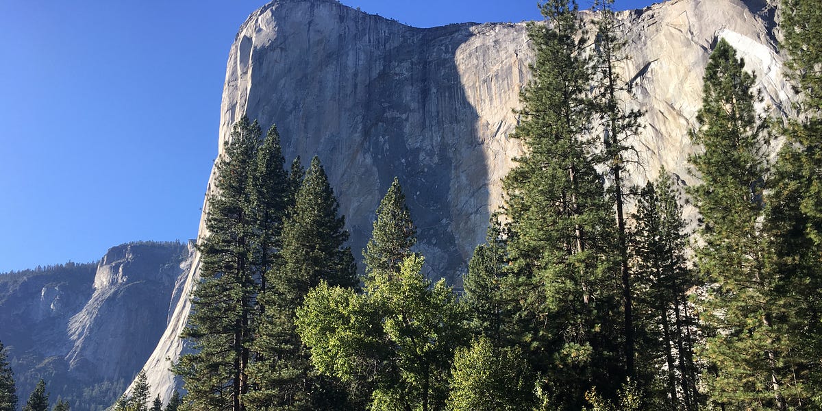 The Snootiest Art Forms - by Zachary Moore