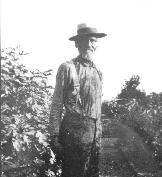 ALFRED JACKSON y THE HERMITAGE (Español) - by Fico Ortiz