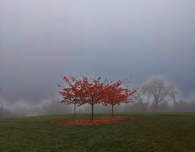 The world is full... - by Kelsey Hoppe - Kelsey’s Substack