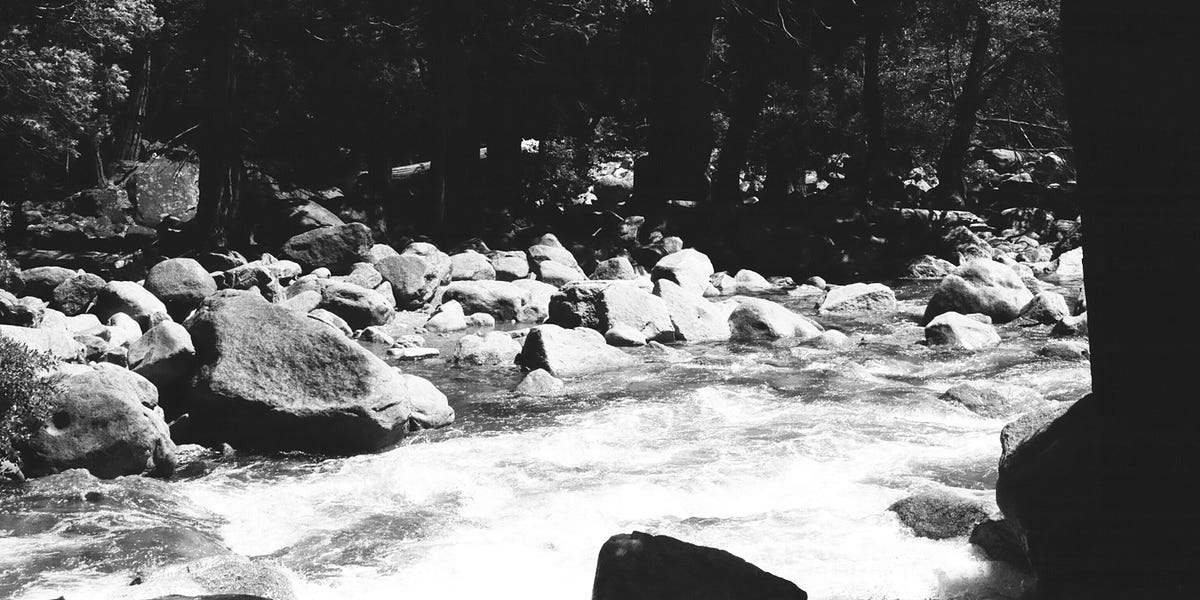 Boats, Wind, Cheese - by Janet Salsman - Janet’s Substack