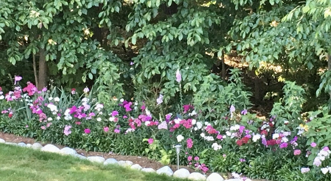 The Edges - by Caro Henry - Caro’s Writing Perspectives