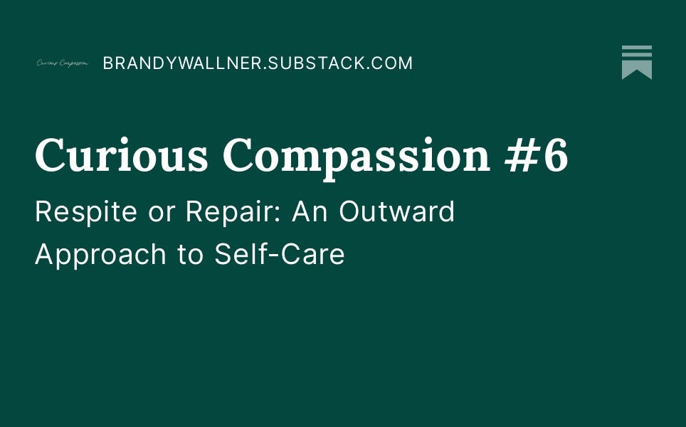 Curious Compassion #6 - by Brandy Griggs
