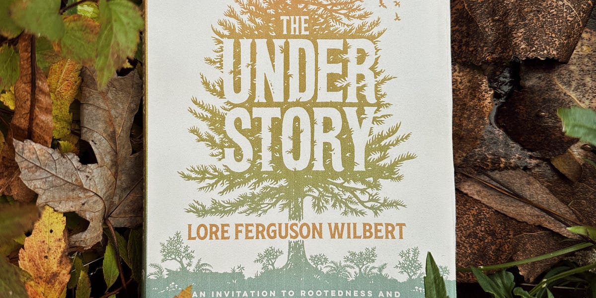 Evolution of a book title + cover - by Lore Wilbert