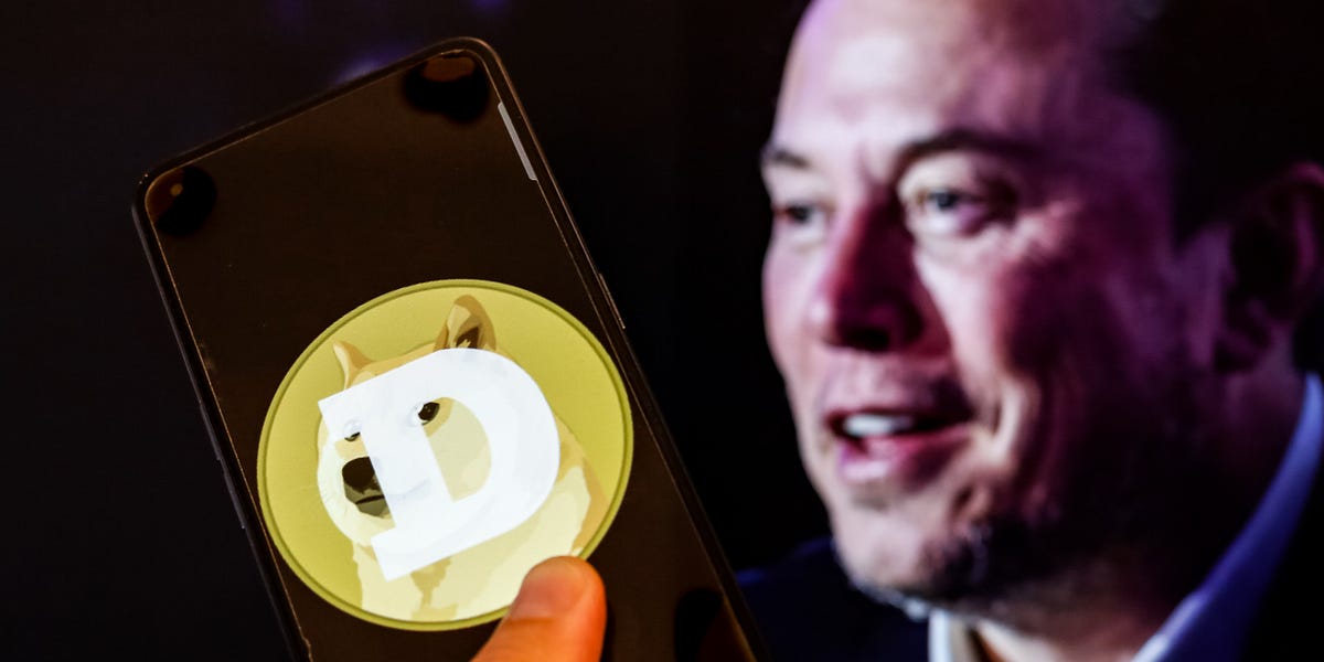 The DOGE Death Star Must Be Stopped - by Don Kettl