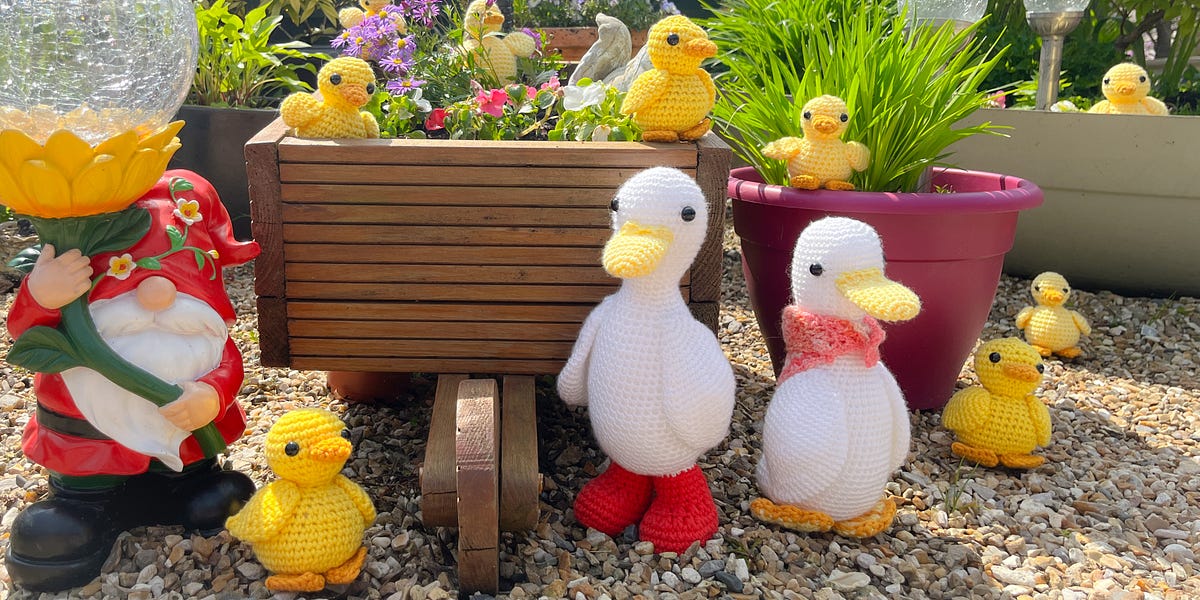 Choosing to do things differently - by Kelly Bloomfield