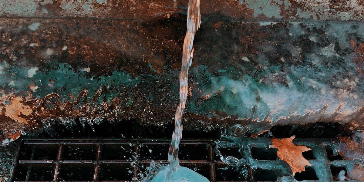 Primary Water - Warrior In A Garden Substack