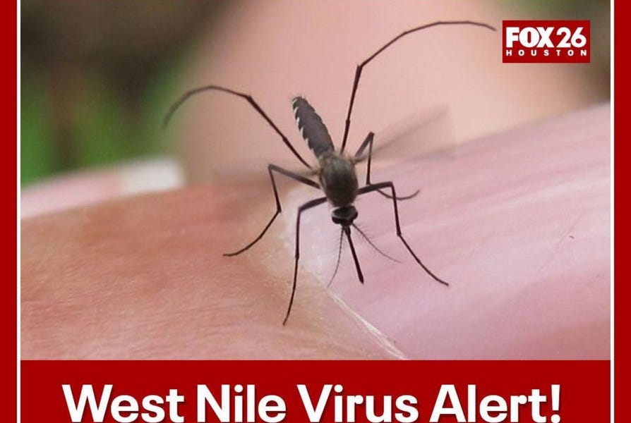 Entomological Warfare Part:2 GMO MOSQUITOS REALEASED IN HOUSTON AND FLORIDA