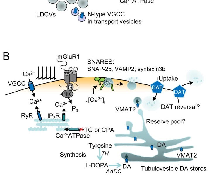 We start machine learning with never-ending training process