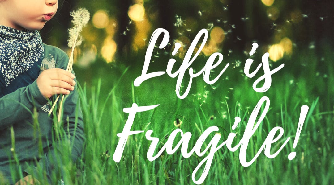 Finding Meaning in the Fragility of Life - Coffee Times