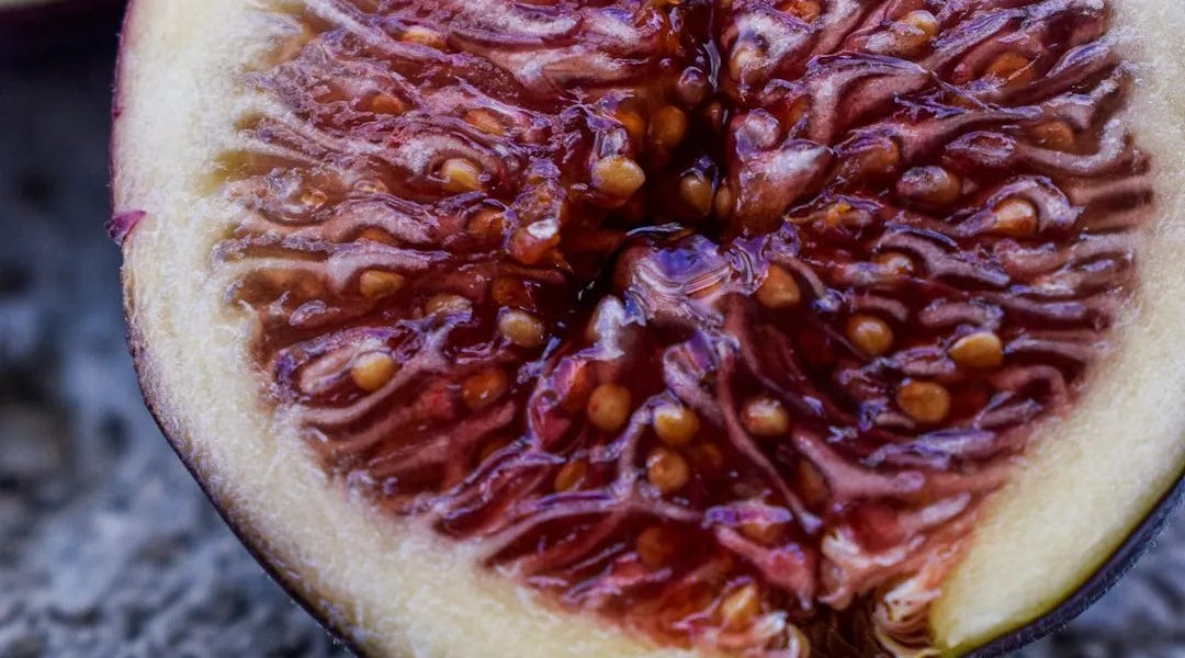 What Do Figs Taste Like? - The Fig Jam
