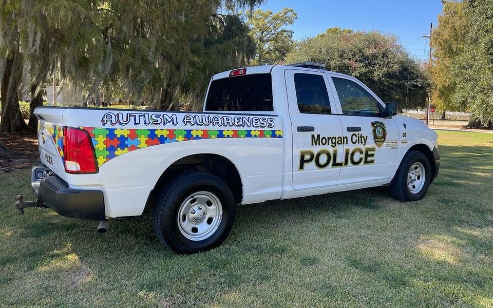 Conquered by autism - by Anne Dachel - Anne’s Substack