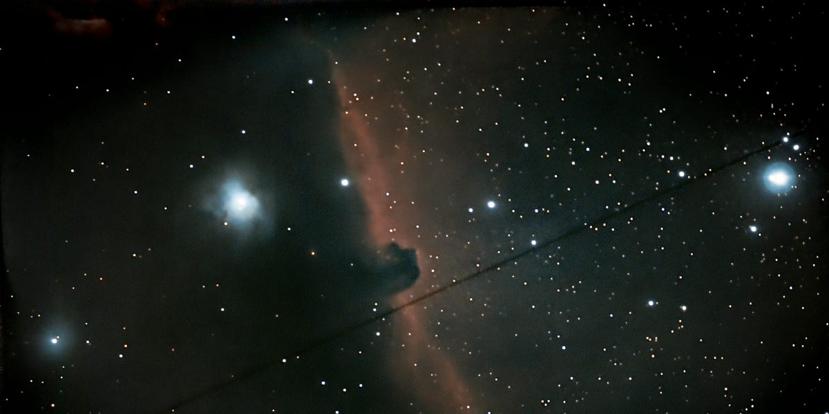 Standing on principle. . . even when it costs votes.