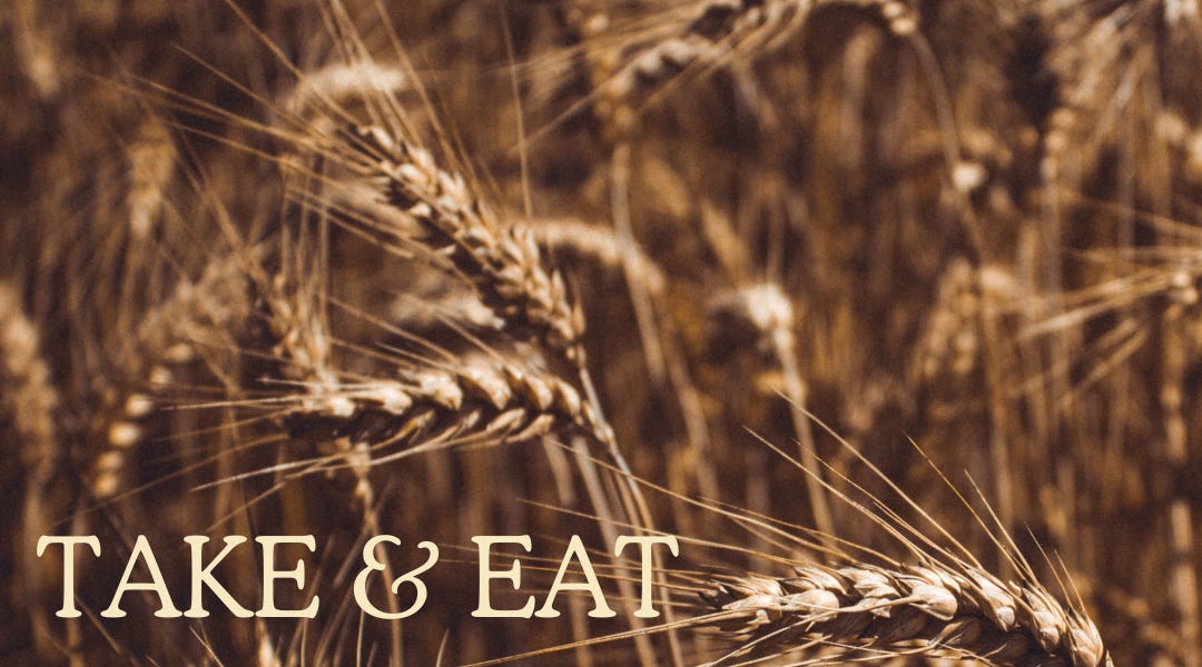Take and Eat - Janel’s Substack