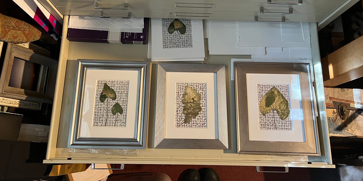 Embracing Ephemerality - by Devon John Chebra