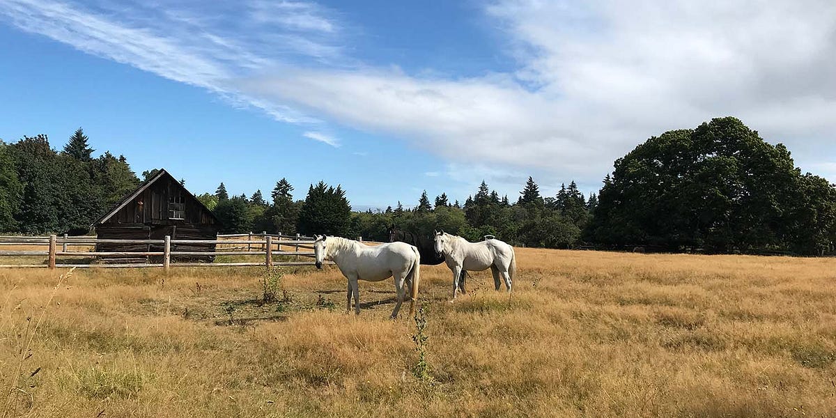 EASY COUNTRY LIVING - New Demo - by Pete Droge