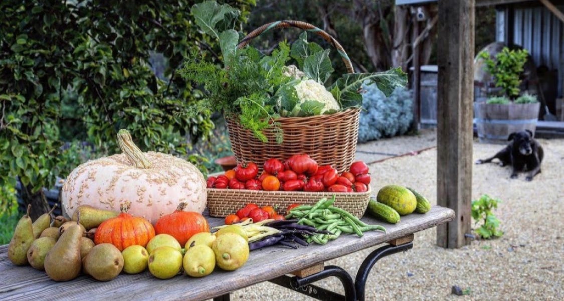 The Productive Garden Guide: Part 1