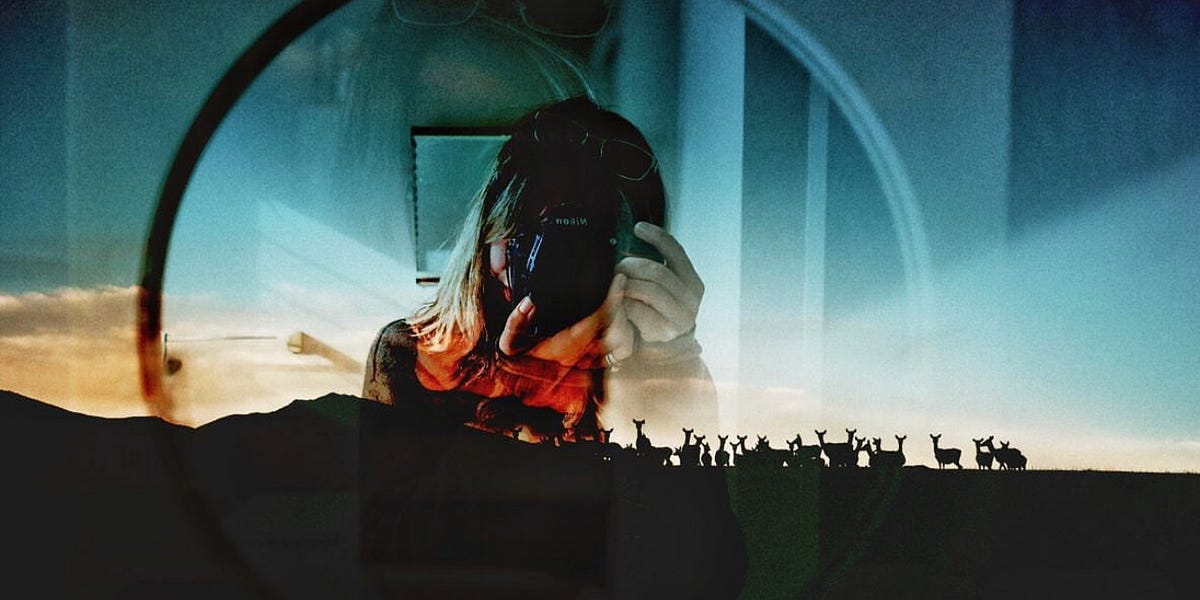 'Get back behind the lens' - by Chloe Lodge