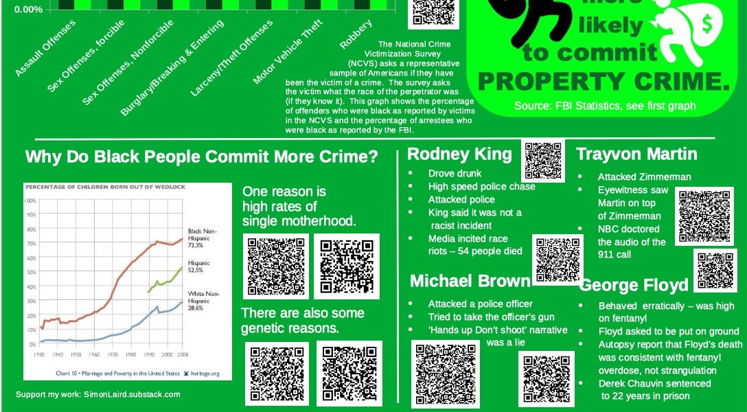 Race, Crime, and Policing Infographic