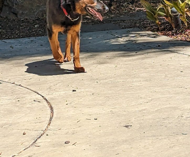 Free at Last - by Paul Hefner - Second-Chance Charlies