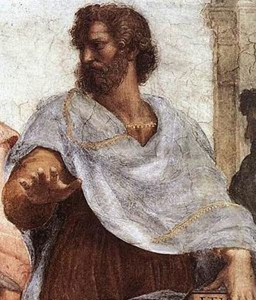 Aristotle - by Corrina Sullivan