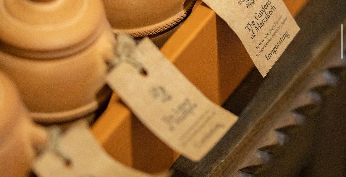 The Moroccan Botanist: Brewing Brilliance Beyond Tea