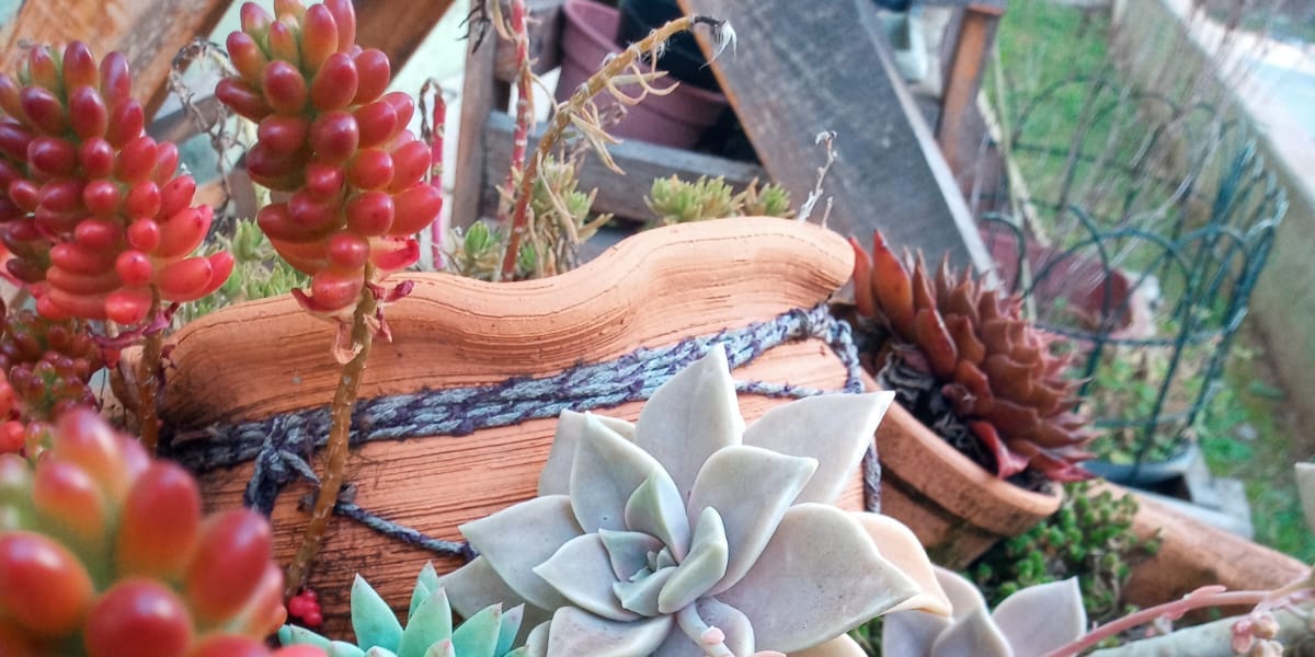 O que é sucesso? - by Laboralivros - Lua’s Substack