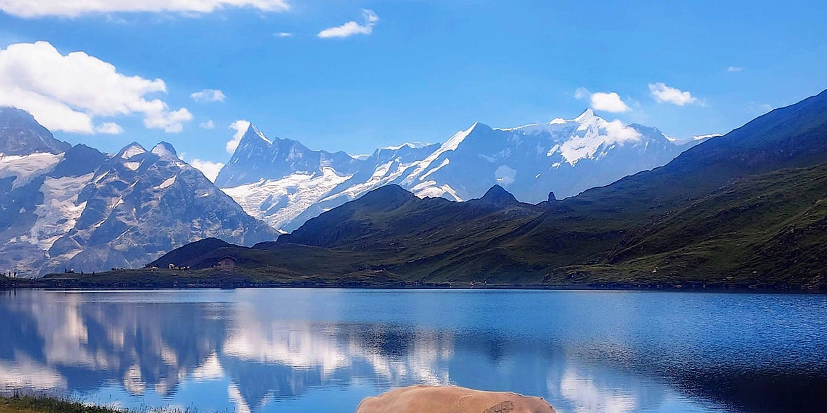 A Swizzed Land - by Johnathan Reid - ReidItWrite