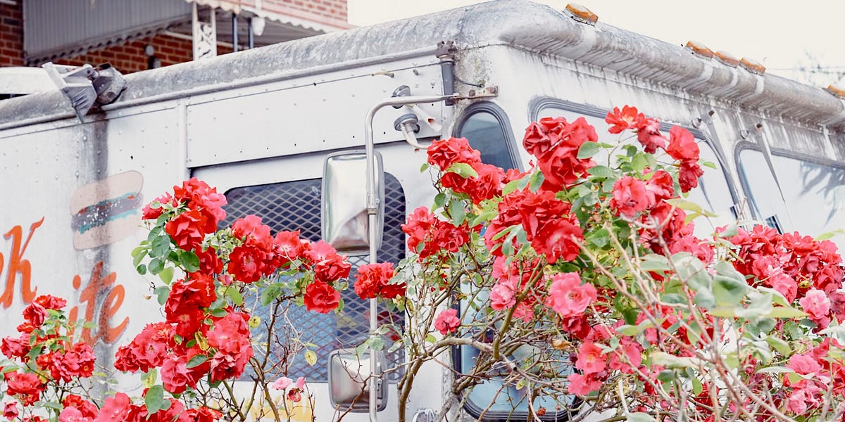 Clason Point - The Bronx - by Rob Stephenson